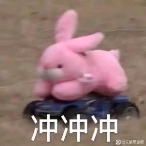 SCUM-Dagen一号 
