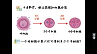 第3节 生物体的结构层次课堂实录 第一课时