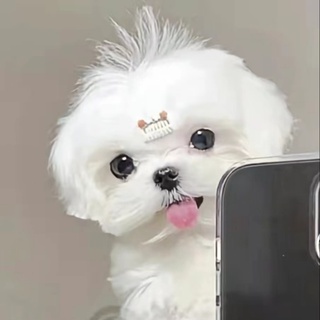招财童子