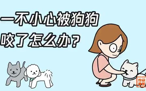 一不小心被狗狗咬了怎么办?