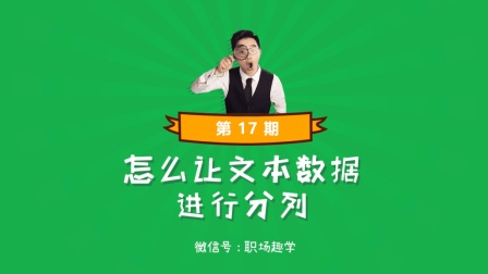 17、怎么让文本数据进行分列