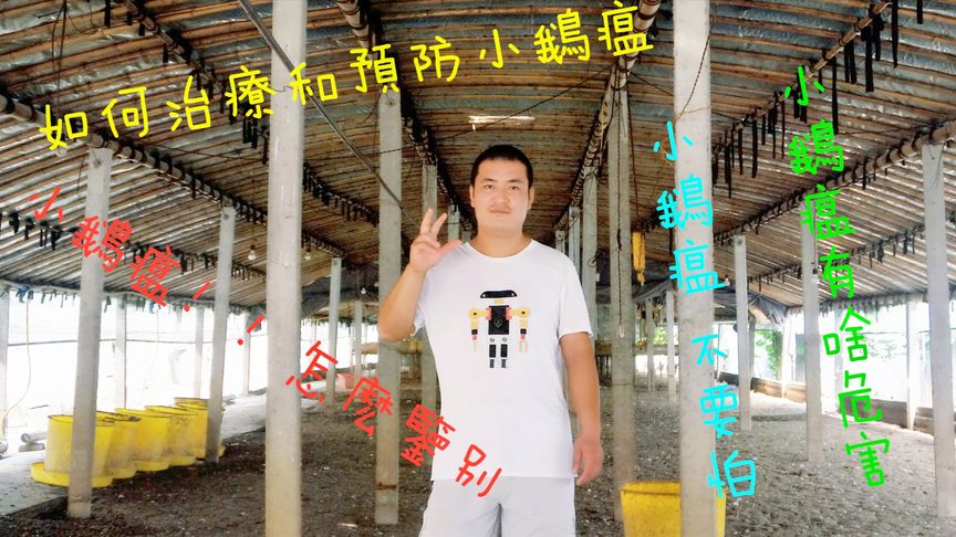 小鹅瘟病毒危害大,做好这几点有效降低发病率!