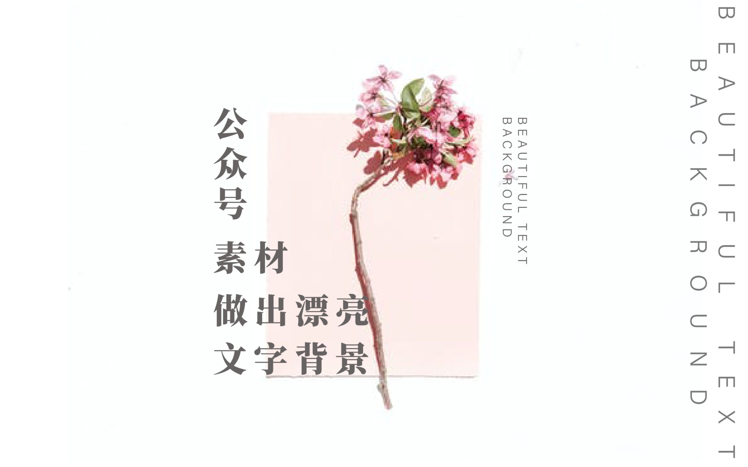 公众号素材做出漂亮的文字背景
