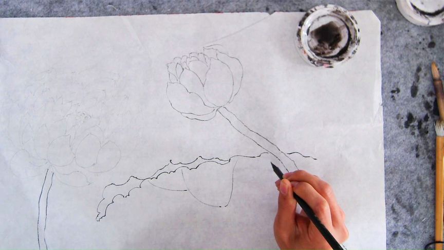 工笔白描荷叶画法