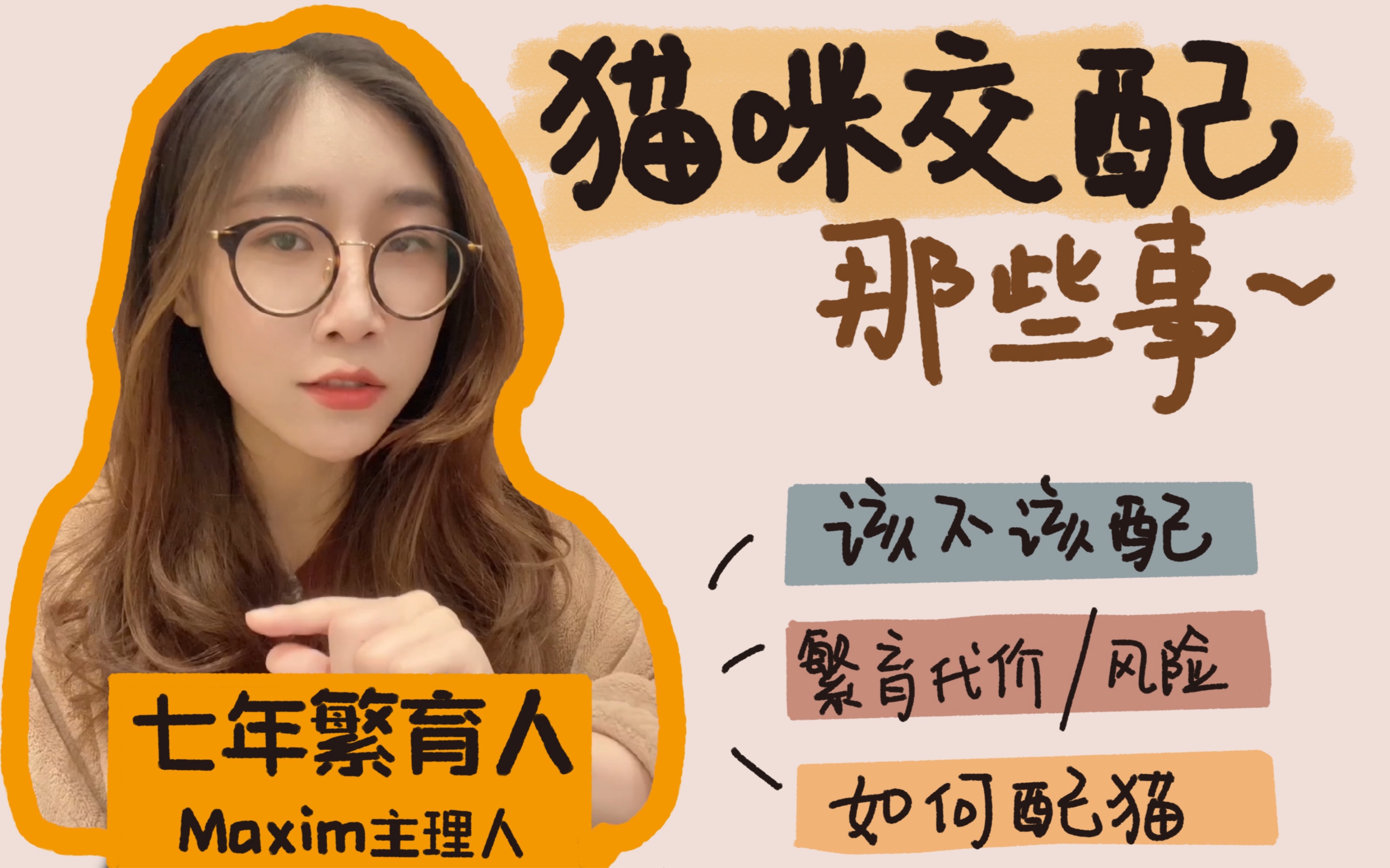 ...不该配?如何配?繁育代价?借配风险?一条视频讲清楚猫咪的猫生大事!