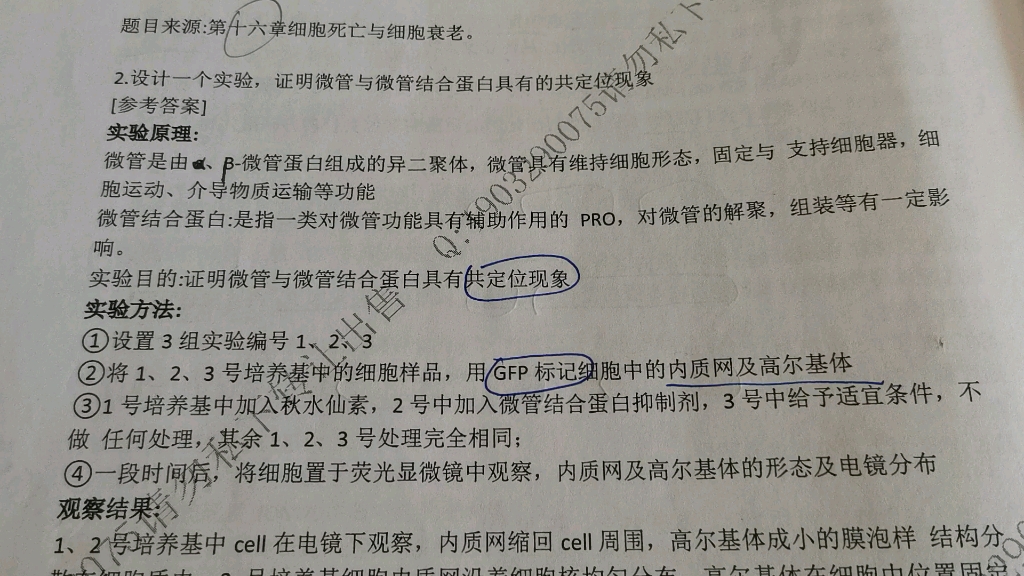 细胞生物学设计实验题:证明微管与微管蛋白具有的共定位现象