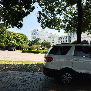 徐雅忆 
