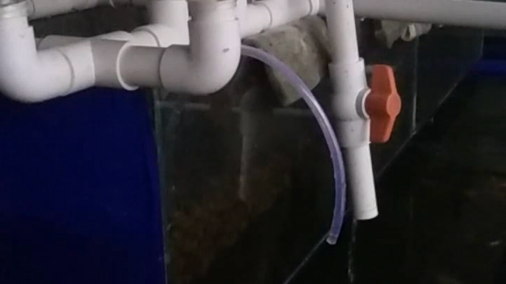 潮汐种植系统终于做出来了。测试成功