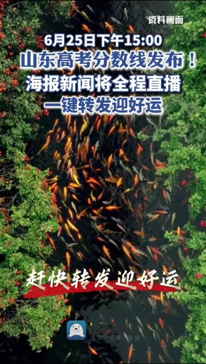 6月25日下午1500,山东高考分数线发布!海报新闻将全程直播#山东分数...