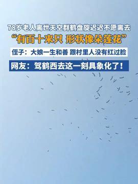 78岁老人离世天空群鹤盘旋久久不愿离去:侄子:大娘一生和善,跟村里人...