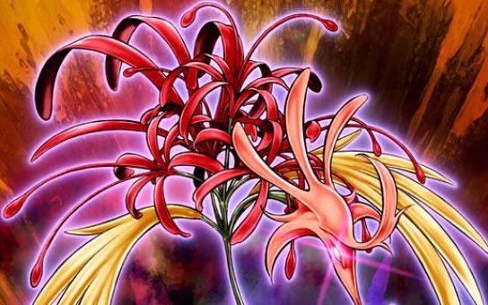 【游戏王/ygopro】植物OTK[1月表]