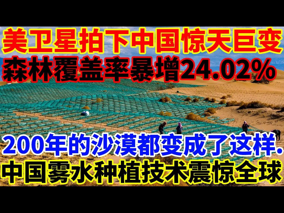 美卫星拍下中国惊天巨变!森林覆盖率暴增24.02%,200年的沙漠都变成...