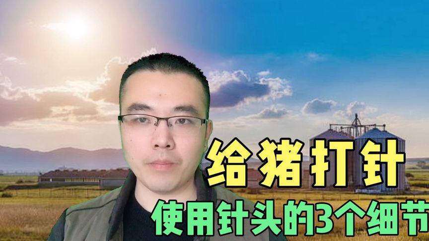 给猪打针,针头大小规格如何选?听听十年养猪小伙怎么说!