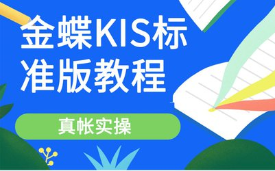 金蝶KIS标准版|金蝶培训视频|金蝶财务软件教程|财务软件金蝶
