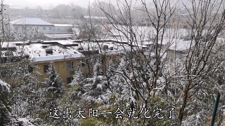 爸爸早上推开门发生了什么?整个山上烟雾弥漫,这才是冬天该有的