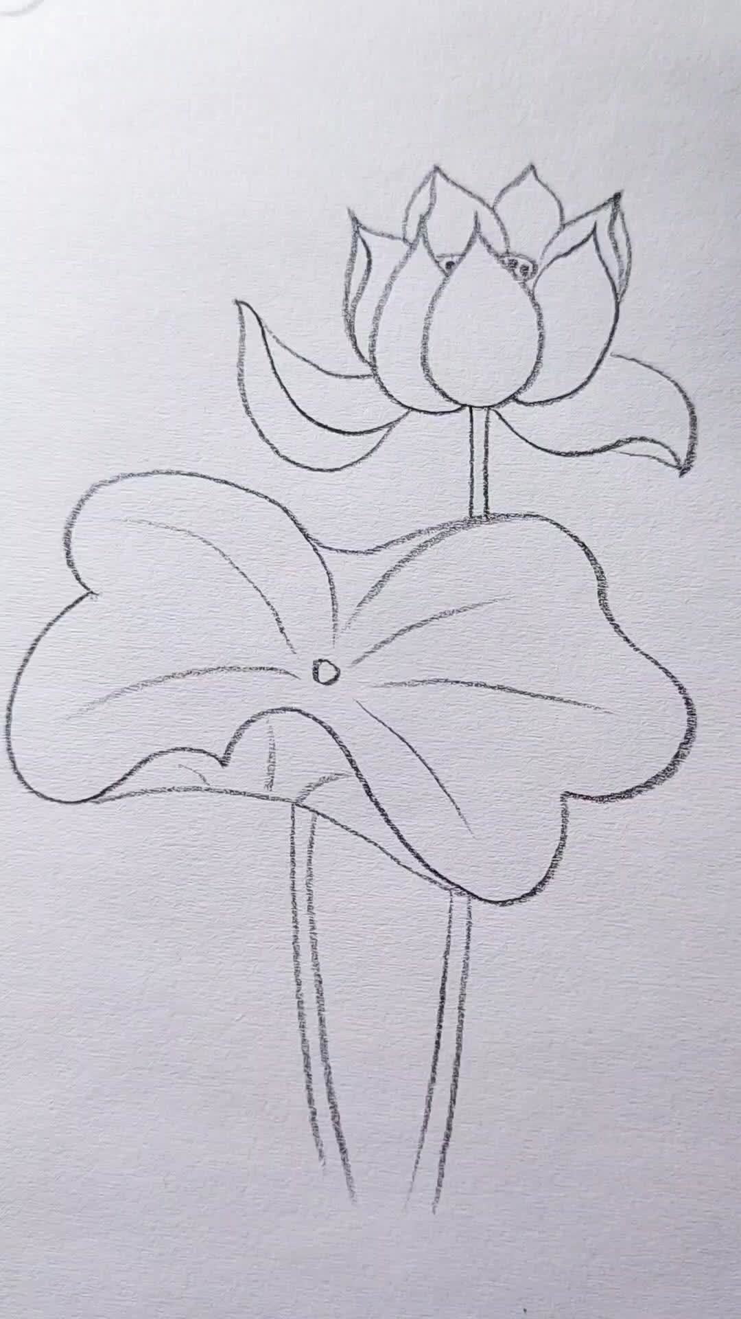 简笔画荷花,喜欢可以试画一下