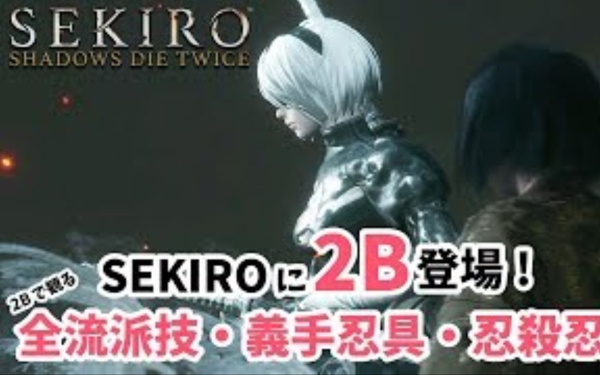 【只狼】2B小姐姐mod,附完整教程与网盘链接!