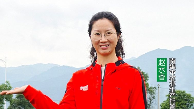 #广东农业生产托管#广东农业社会化服务#2023年南粤行系列活动