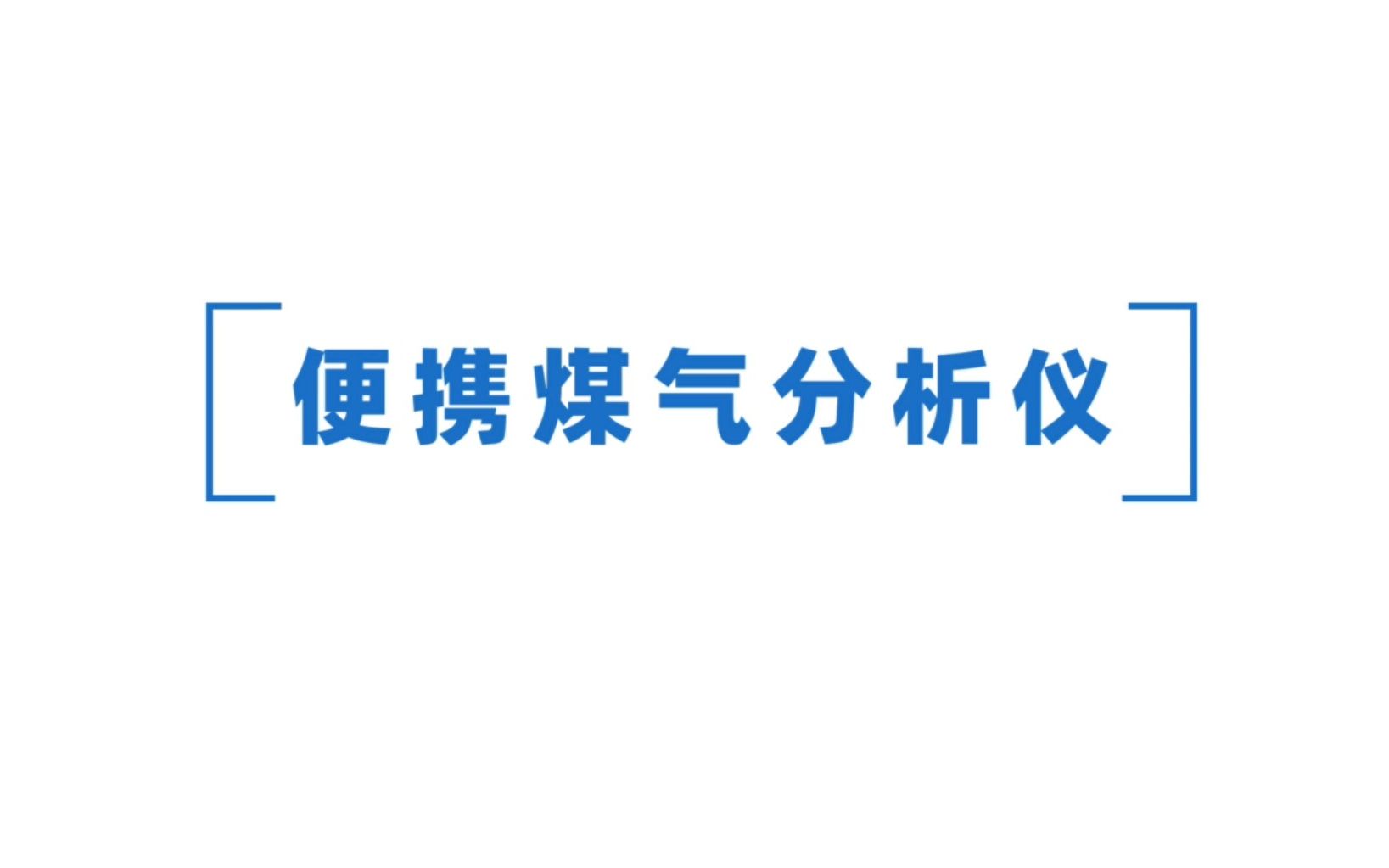 天禹智控-便携煤气分析仪