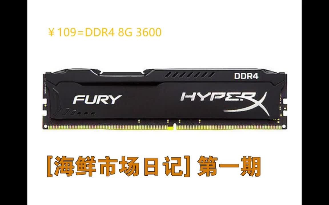 金士顿ddr4 2400 8G【海鲜市场日记第1期】