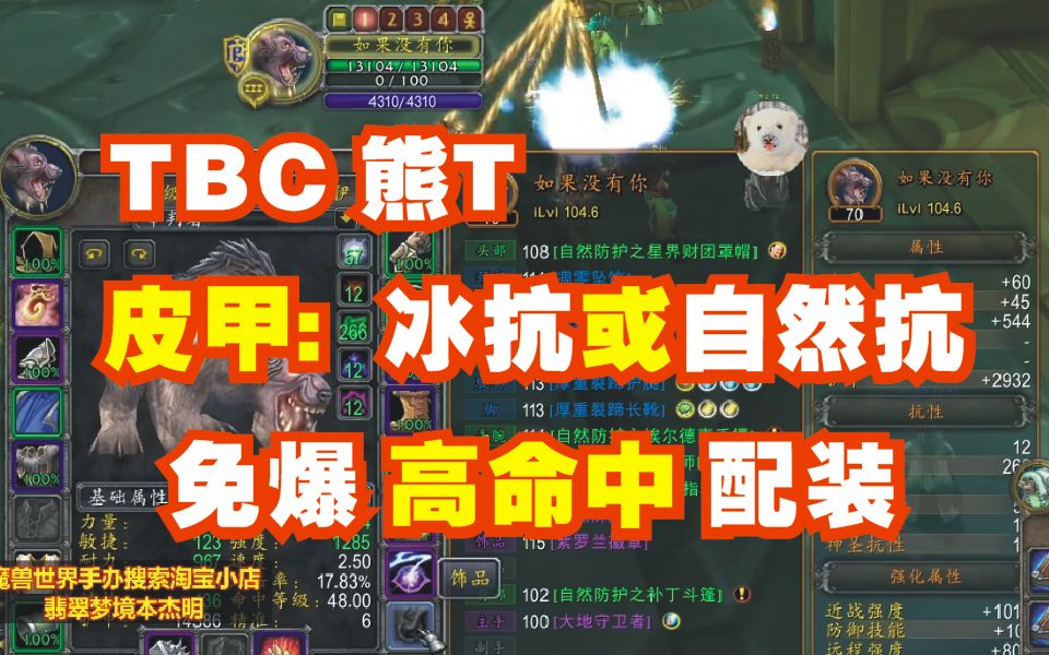 TBC毒蛇神殿“熊德主T”皮甲“冰抗、自然抗”365抗性、免爆、100...