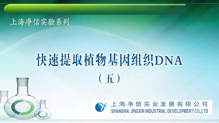净信实验系列——快速提取植物基因组织DNA(五)