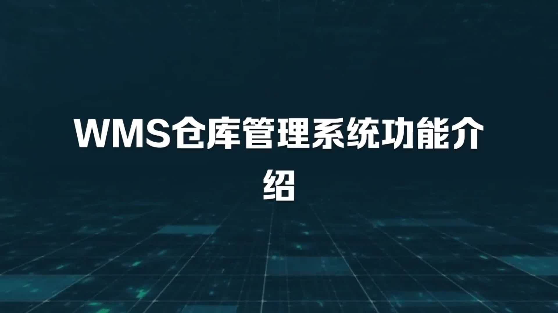 仓库管理系统 WMS仓库管理.