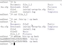 第4章 Red Hat Enterprise Linux的命令行界面-3(cat tac more less tail ...
