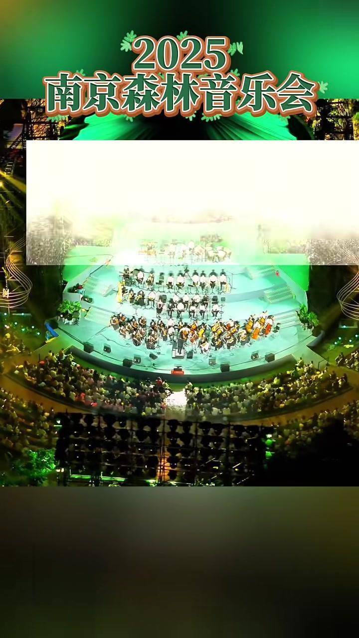 网友眼中的森林音乐会