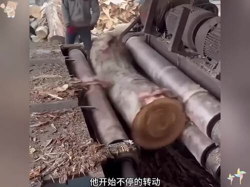 在没有刀的情况下,树皮竟然被他成功剥掉