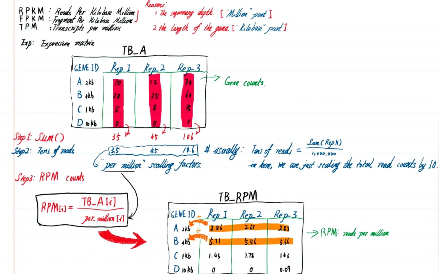 如何用OneNote做出漂亮的笔记_2_加速全过程展示_生物信息学