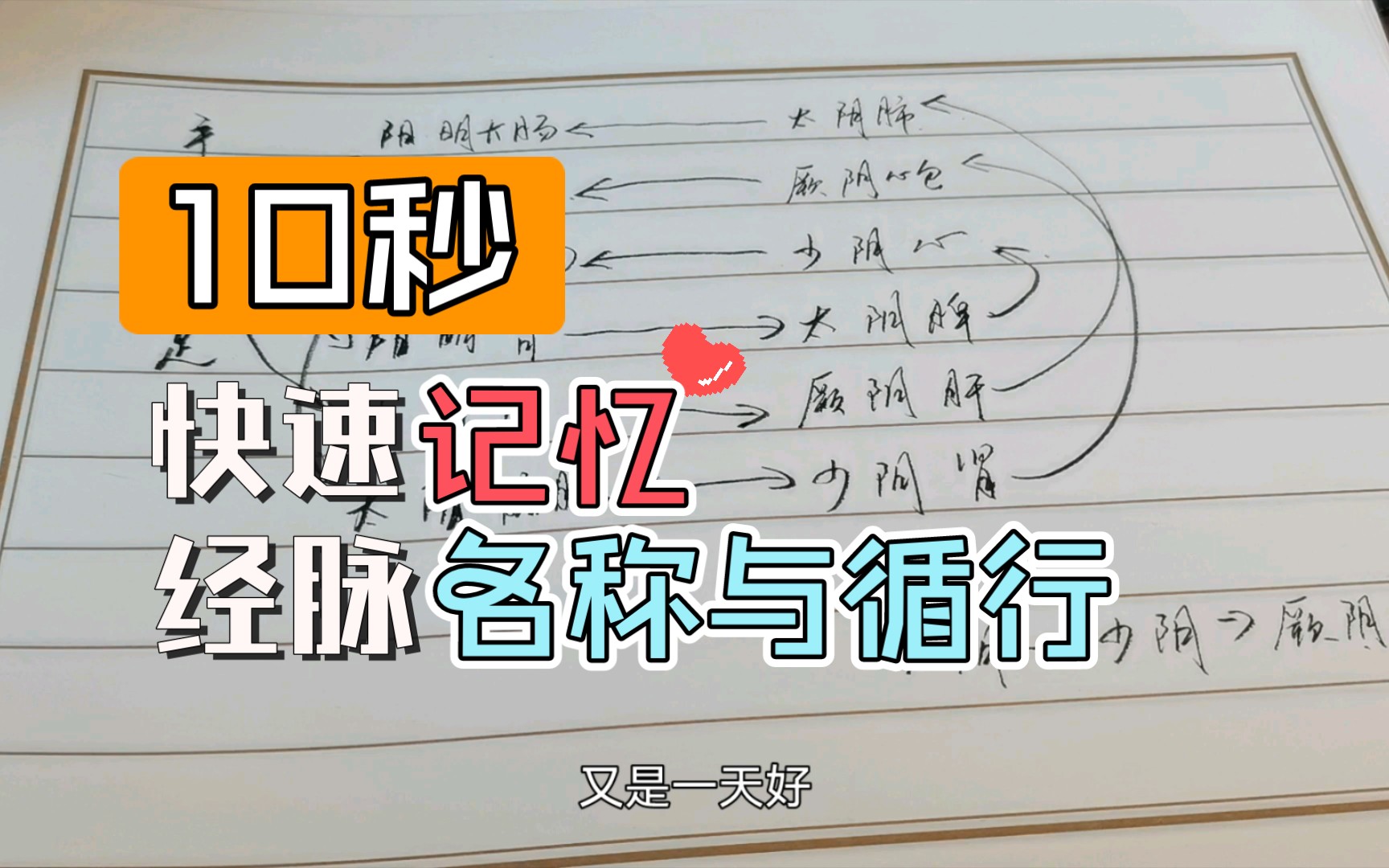 【10秒即可牢固记忆】速记十二经脉名称和循行!