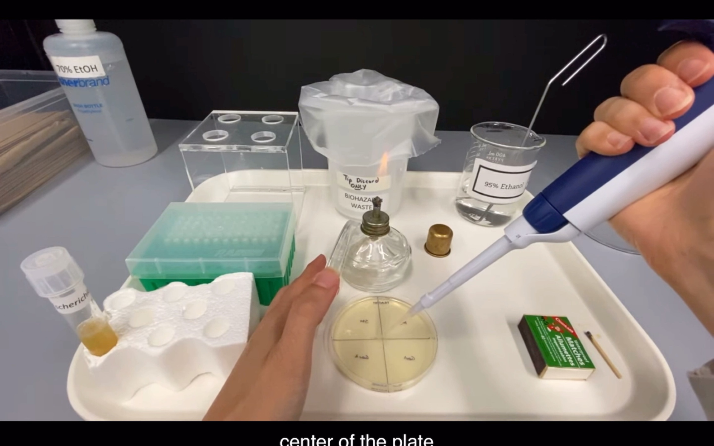 生物|研究大蒜抗菌特性的标准操作程序-过程 | Antimicrobial Properties ...
