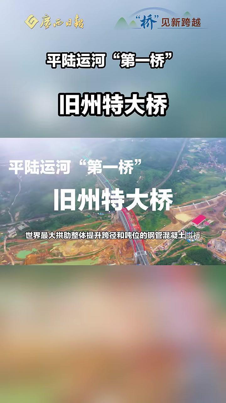 ...跨径和吨位的钢管混凝土拱桥,整体提升的拱段跨径达202米、重量达...