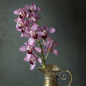 柒和关系王占伟 