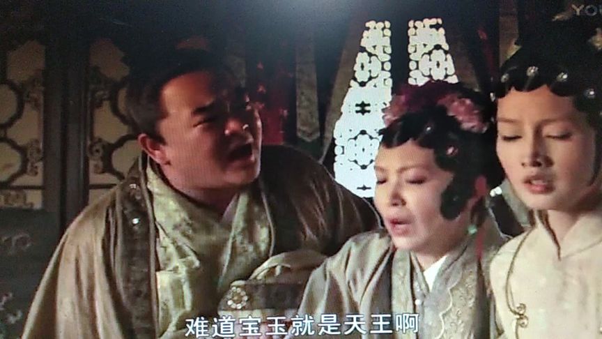 宝玉挨打人们探望各不同 宝钗怨哥哥 呆霸王一番话 妹妹无地自容
