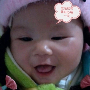 振鑫游戏全剧情记录 