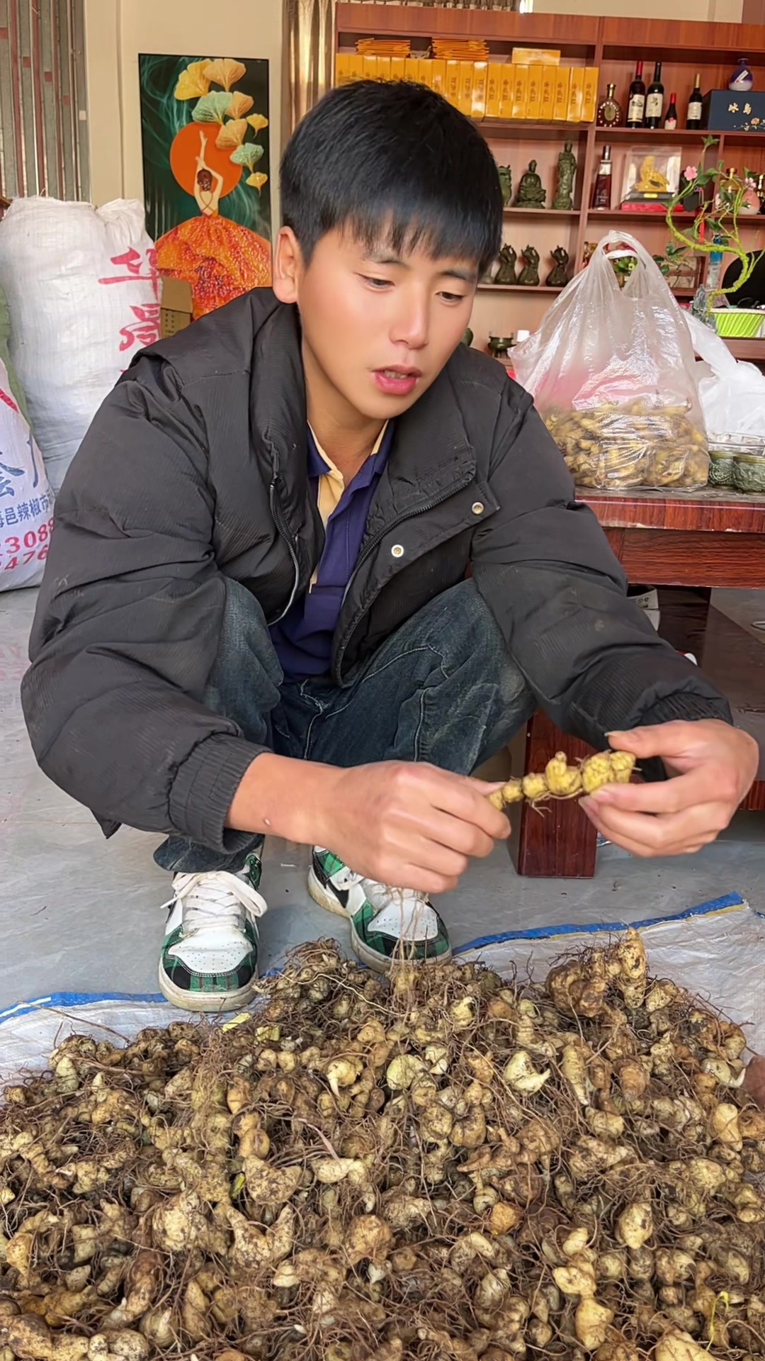 黄精的作用与功效!#陆良花导#陆良