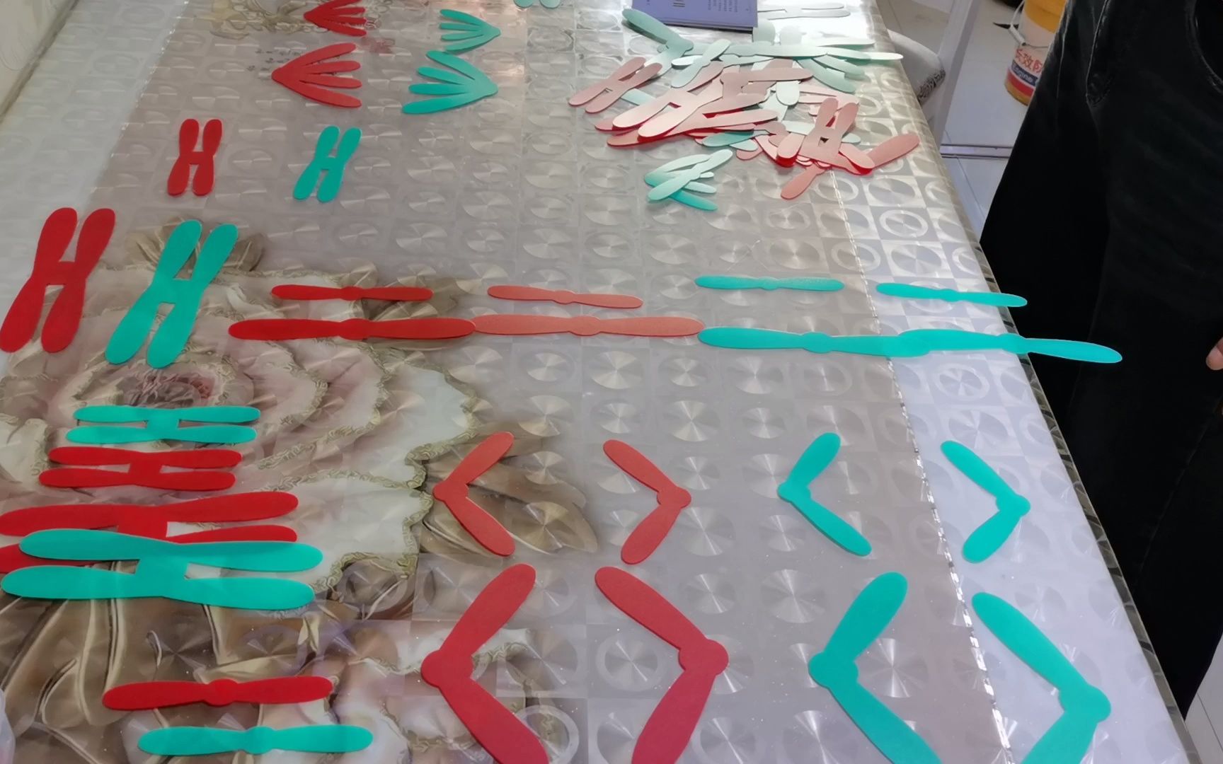 王恒教育:2022-01-28高三学生模拟细胞分裂过程中染色体的数目和...