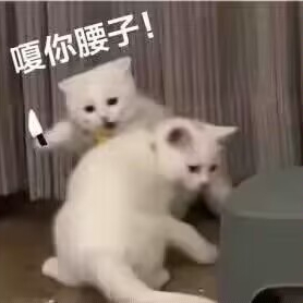 坏脾气的麻瓜 