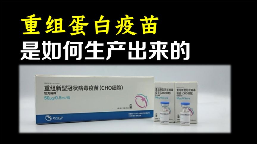 重组蛋白疫苗,是如何生产出来的?为何需要打3针?