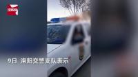 近日,河南洛阳。网友爆料一辆城管局执法车路遇交警检查,驾驶员无法...