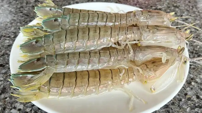 粗盐生焗皮皮虾做法,出锅肉质嫩滑,味道香甜