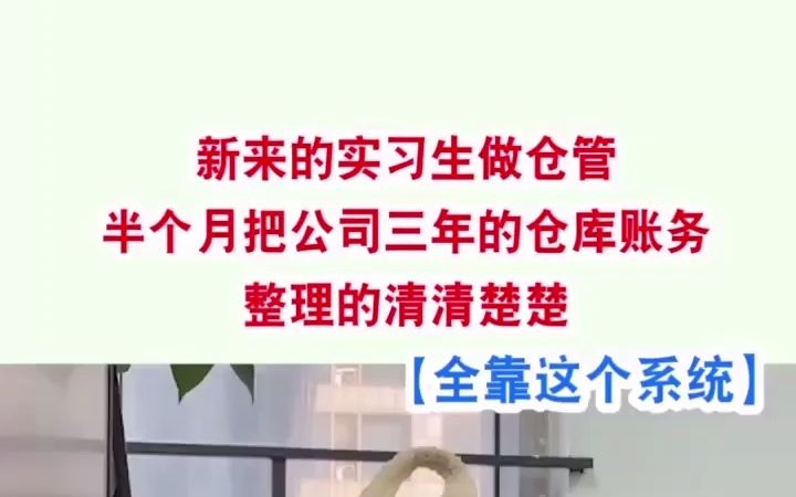 现在的新人都这么厉害吗?用一套采购管理系统,把仓库的账务整理的...