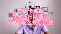 信用卡逾期欠款9万月收入3千该怎么规划还款