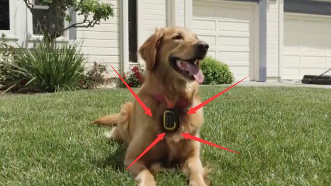 强悍定位器,预防走丢,大人小孩和狗都能用