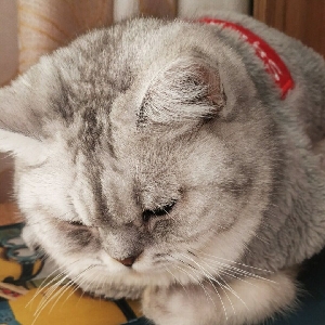 脸上出数字 