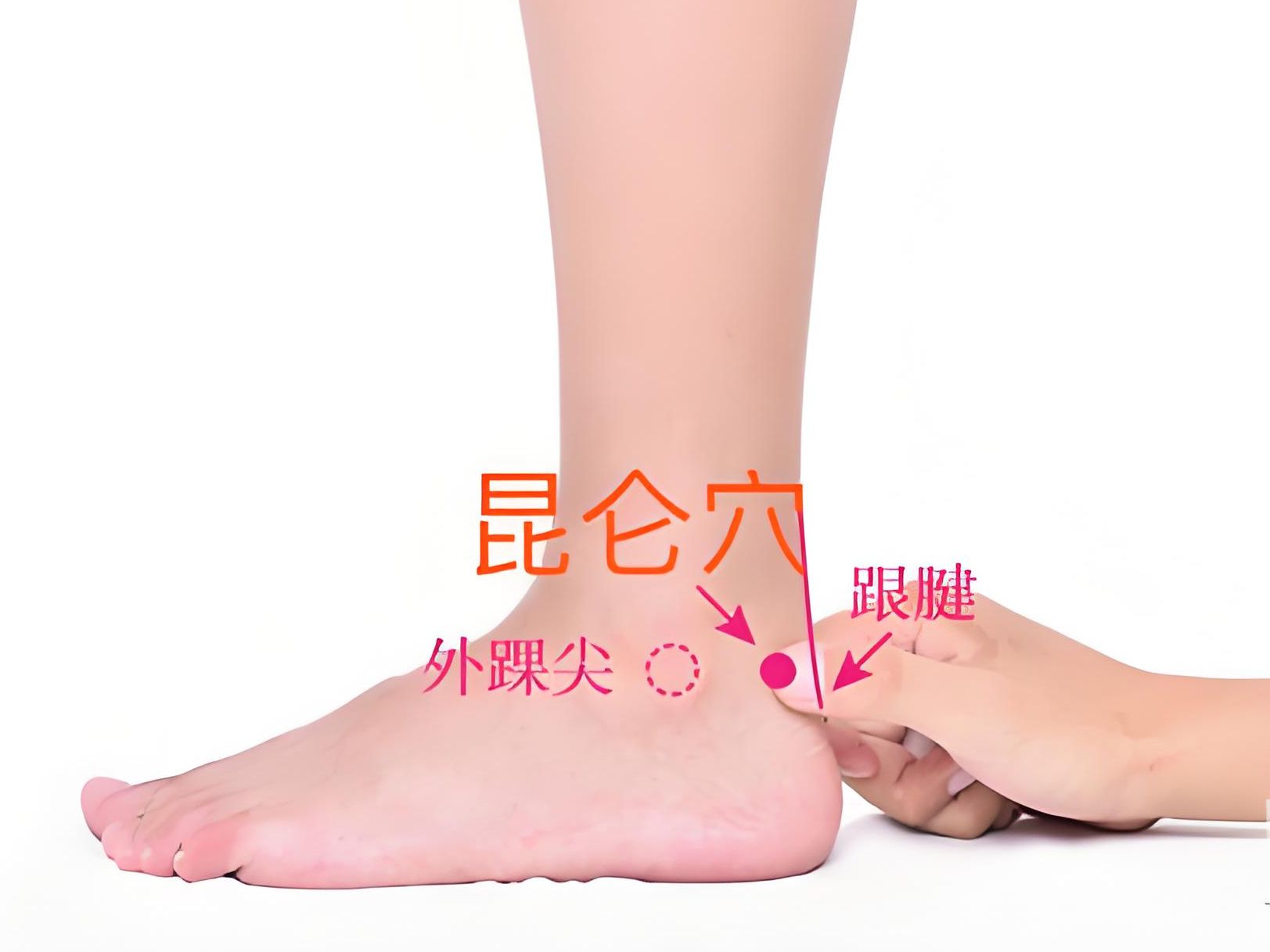 124、足太阳膀胱经 — 昆仑穴 — 缓解高血压
