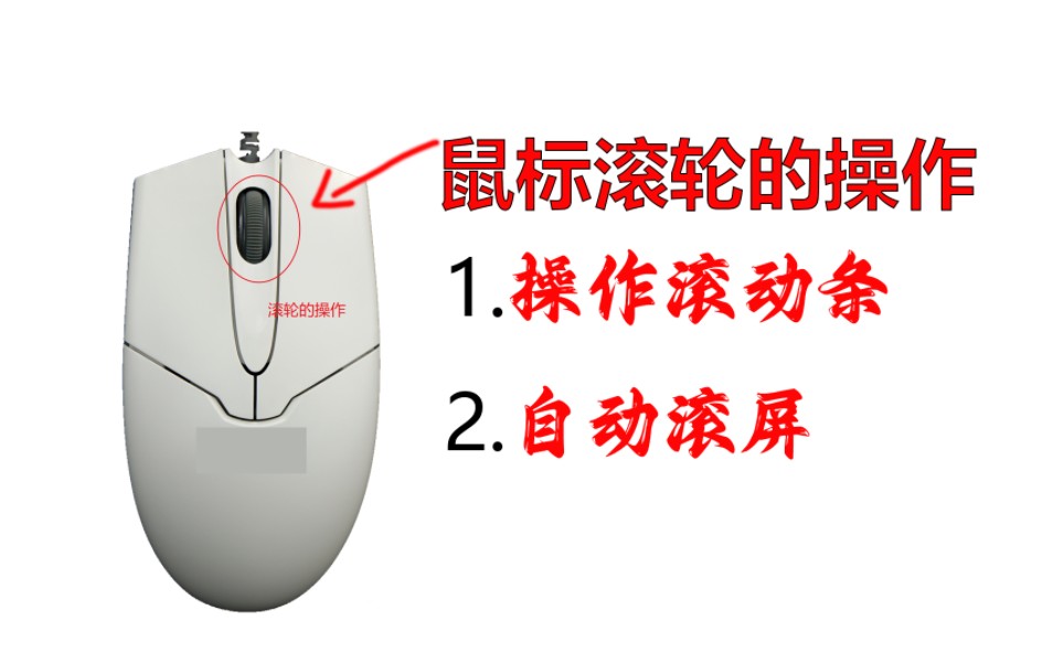 电脑基础知识,鼠标滚轮的操作,学会了你也是电脑高手