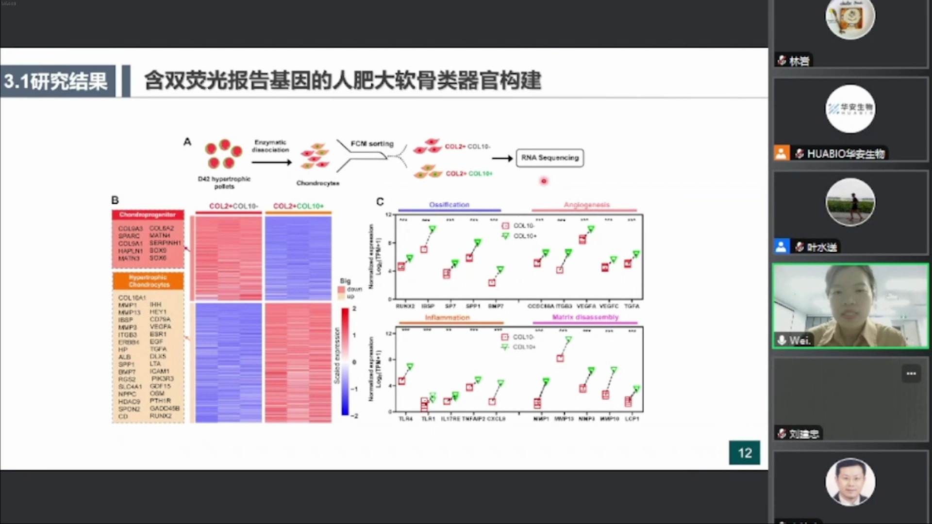 20241029-南方医科大学魏小翠-基于人类器官高通量药物筛选策略促进...